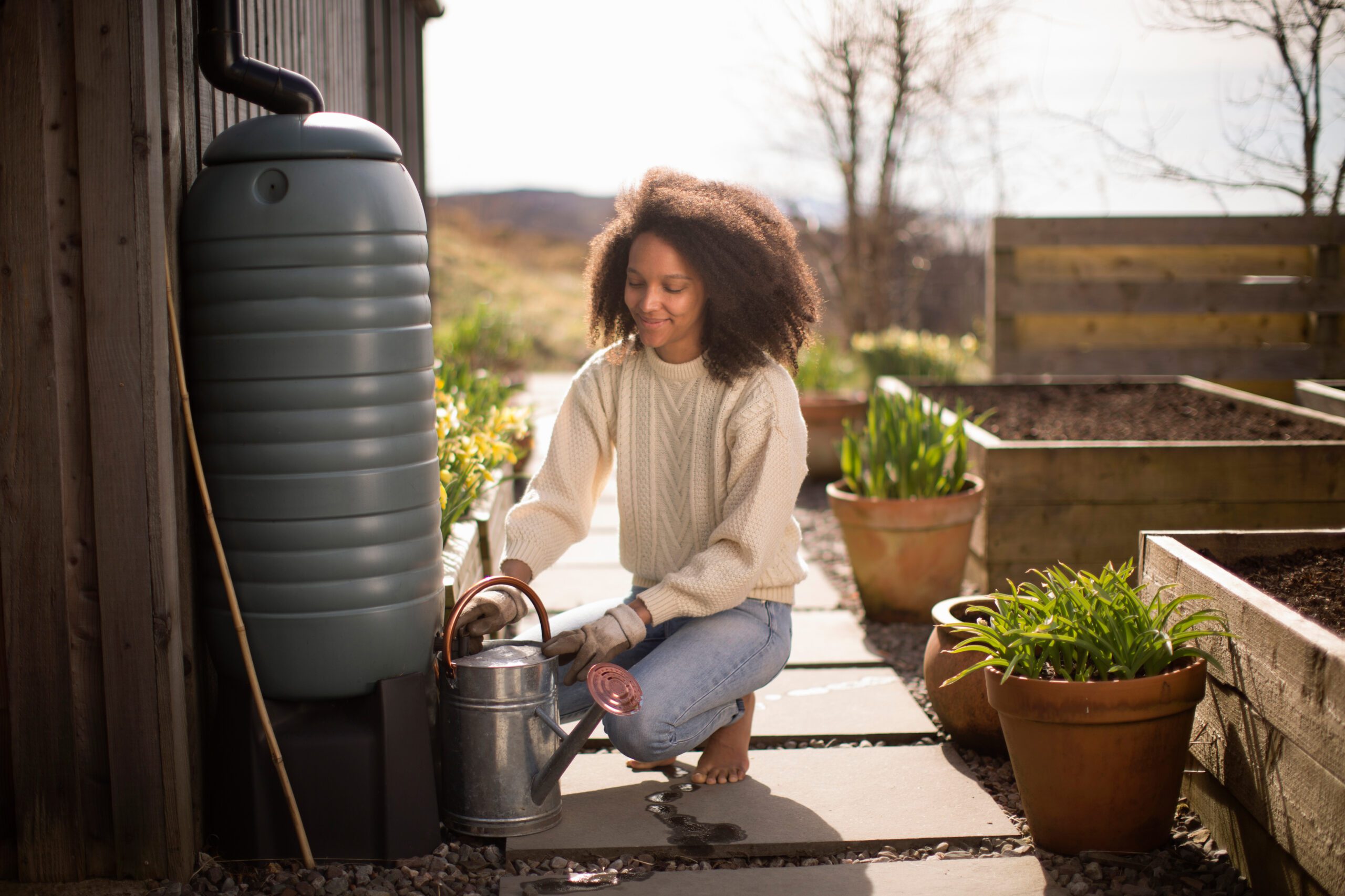 How to Set Up Rainwater Collection at Home: Step-by-Step Guide ...