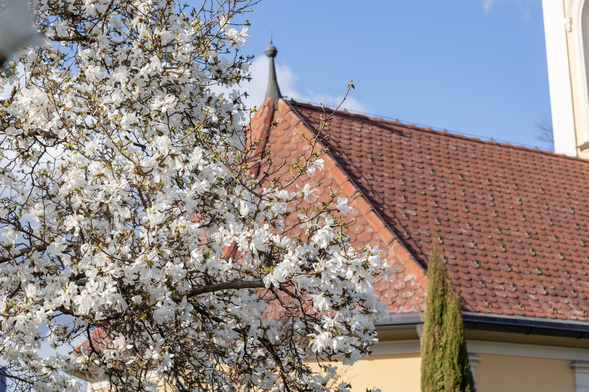 5 Roofing Projects That Are Perfect for Spring - Weather Vane Roofing