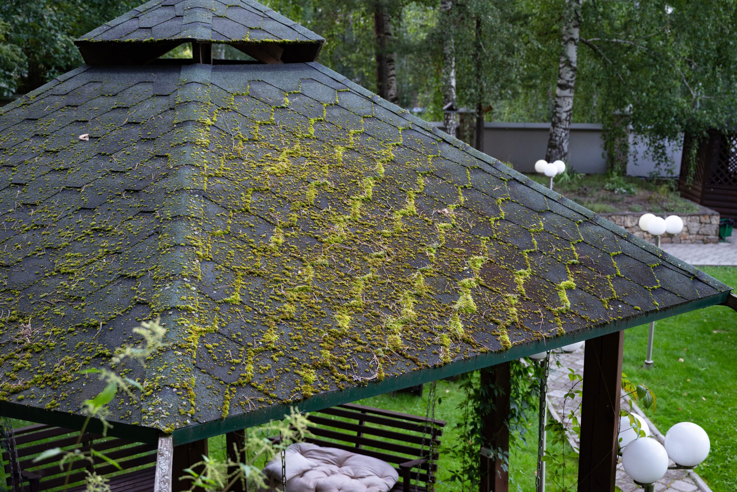 Roof Moss Removal and Prevention: Keep Your Roof Clean and Protected ...